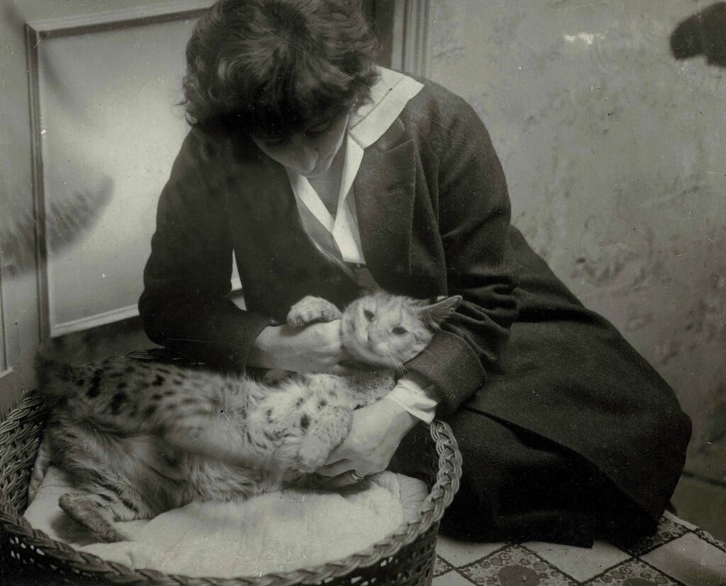 Deux photographies de COLETTE jouant tendrement avec son chat.
